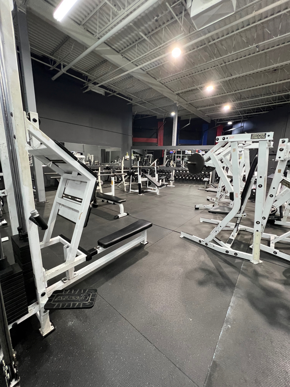 Excel Fitness Club | Gallery